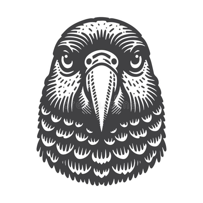 Parrot Front Stock Illustrations – 2,129 Parrot Front Stock ...