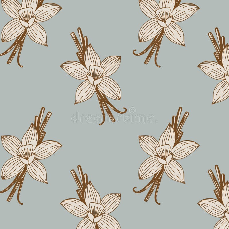 Vintage Pattern with Aromatic Spices Vanilla Flowers and Vanilla Beans ...