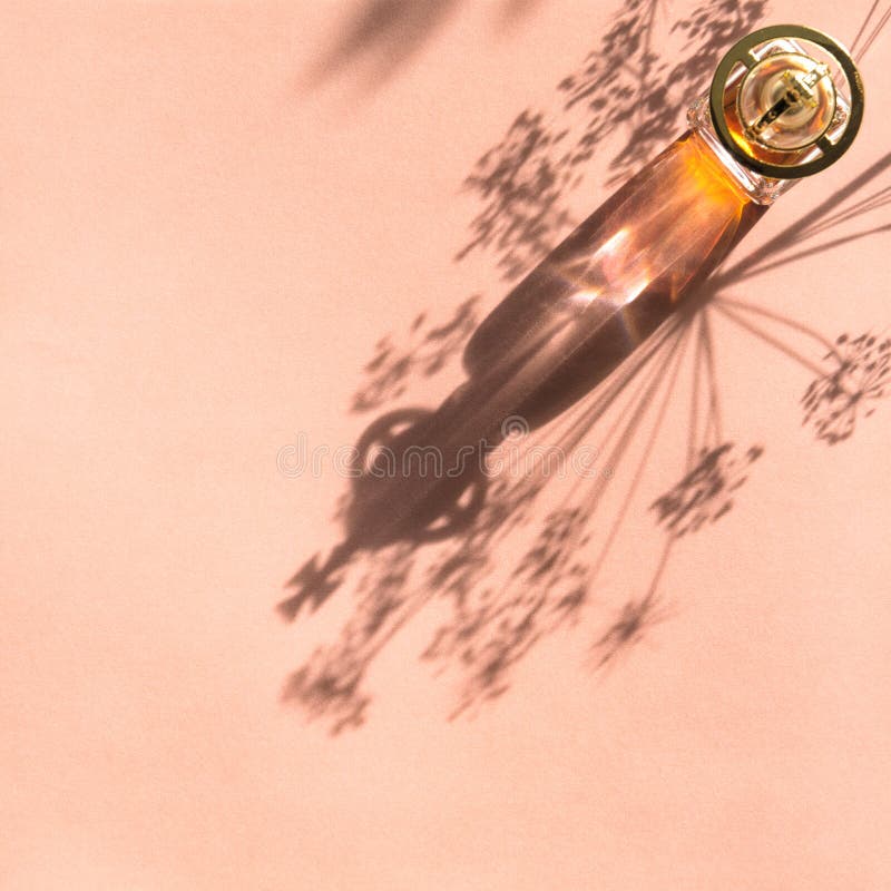 Vintage Perfume Bottle Sunlight Shadow Pink Background Stock Image ...