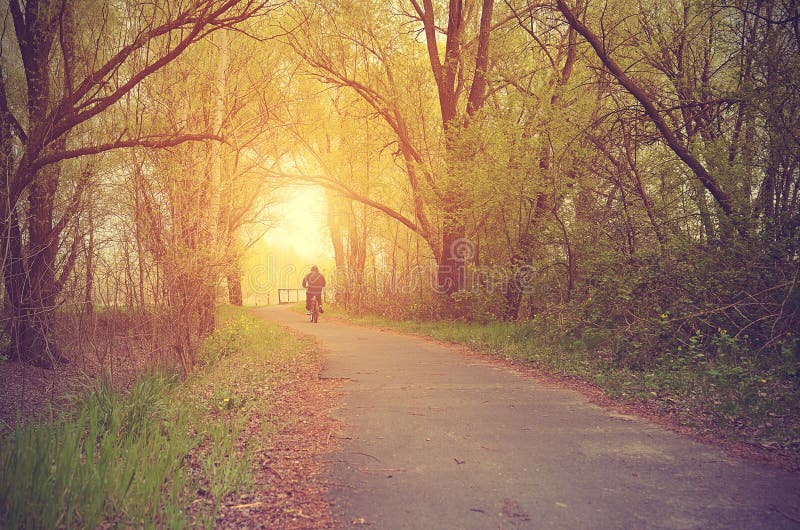 Vintage Photo of a Forest Path Stock Image - Image of tree, bicycle ...