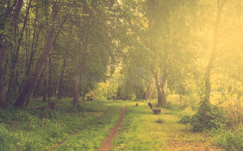 Vintage Photo of Path in the Park Stock Image - Image of happy, grass ...