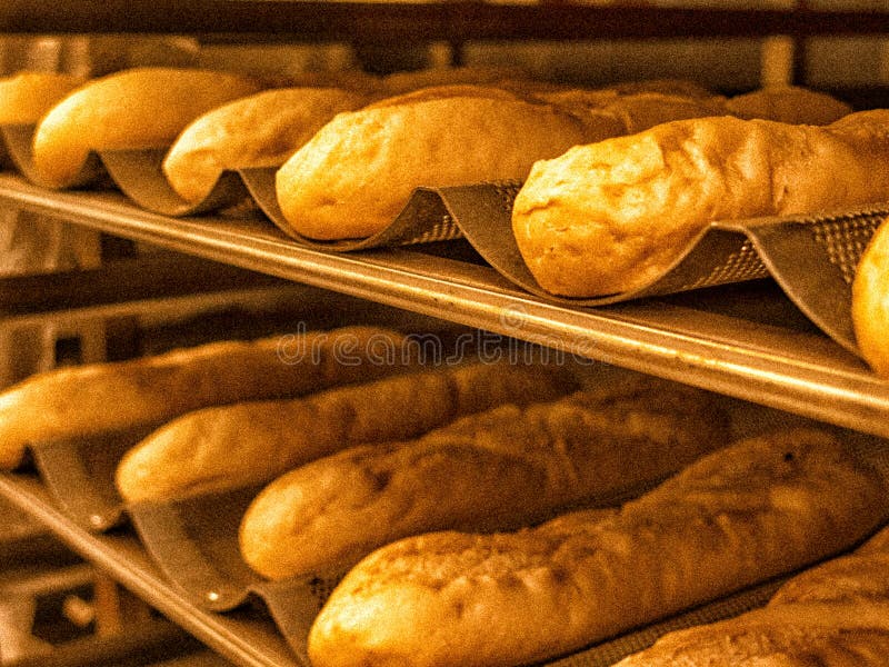 Vintage Photograph of Freshly Made Breads Stock Image - Image of loaf ...