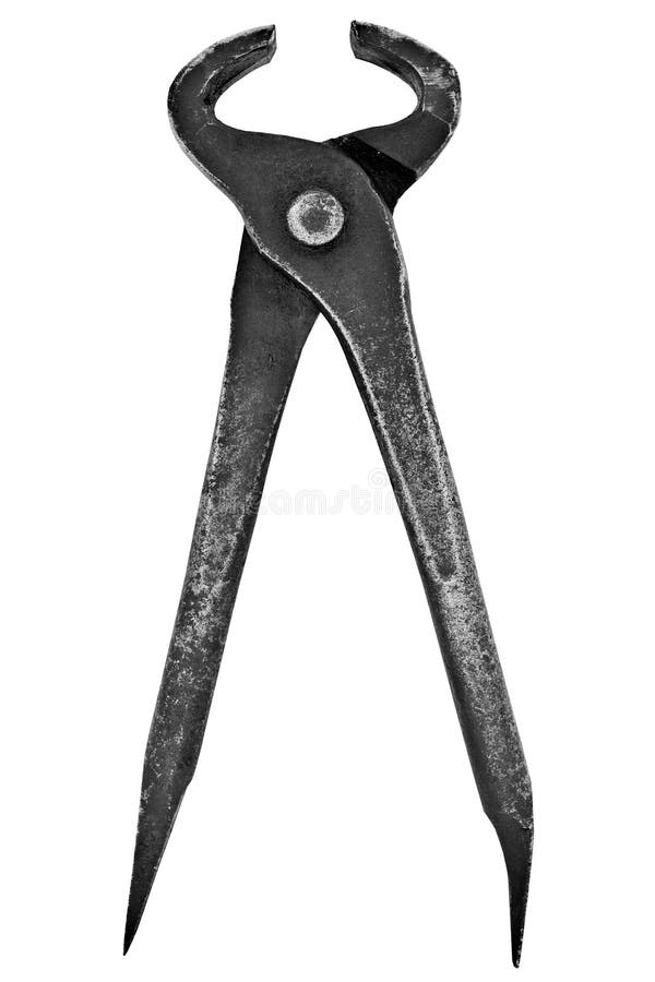 460+ Pincers Free Stock Photos - StockFreeImages