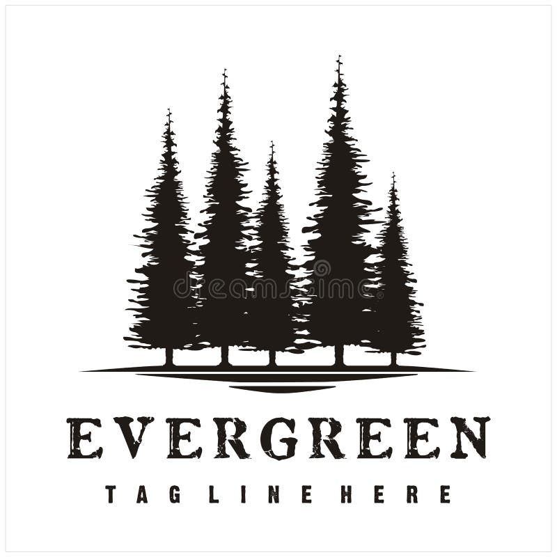 Vintage pine stock vector. Illustration of pine, coniferous - 192805778