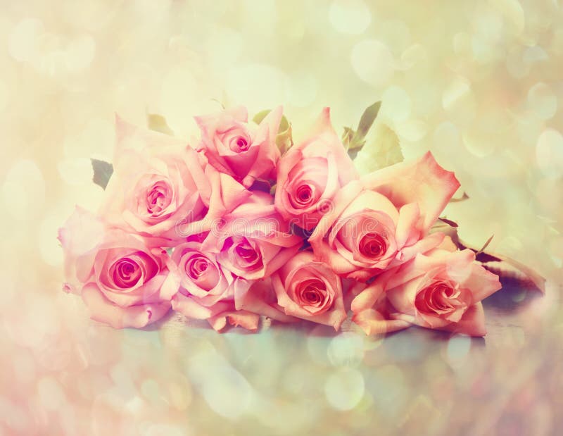 Vintage pink roses stock image. Image of background, desaturated - 39104673