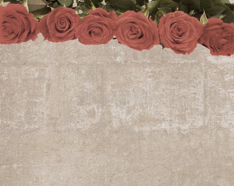 Vintage Postcard with a Line of Rose Heads Stock Image - Image of ...