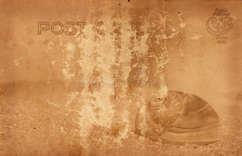 Vintage Postcard with Sea Shell Stock Photo - Image of background, mail ...