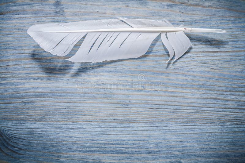 Vintage Quill on Wooden Board Top View Stock Image - Image of ...