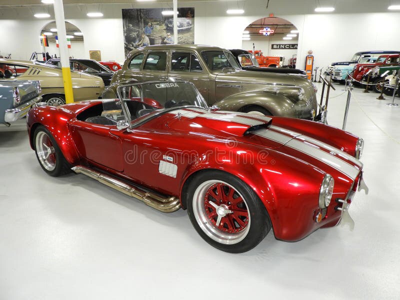 Cobra Tufskin Posters Stock Photos - Free & Royalty-Free Stock Photos ...