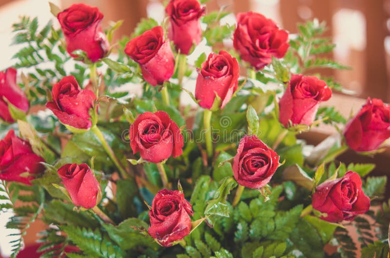 Vintage red roses stock image. Image of decoration, natural - 107337427