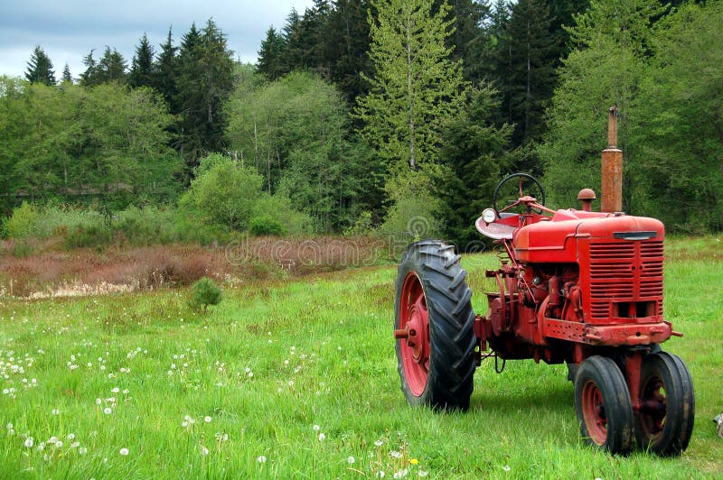 Old Red Farm Tractor stock photo. Image of crop, aged - 5910604