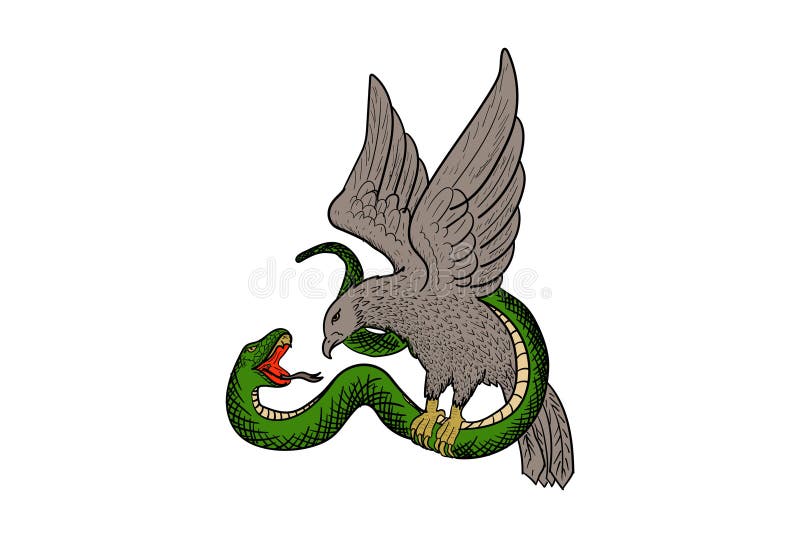Hawk Vs Snake