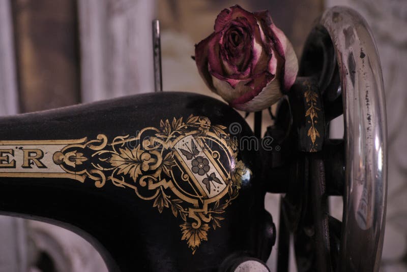 Antique Sewing Machine with Dry Rose Decor Stock Image - Image of ...
