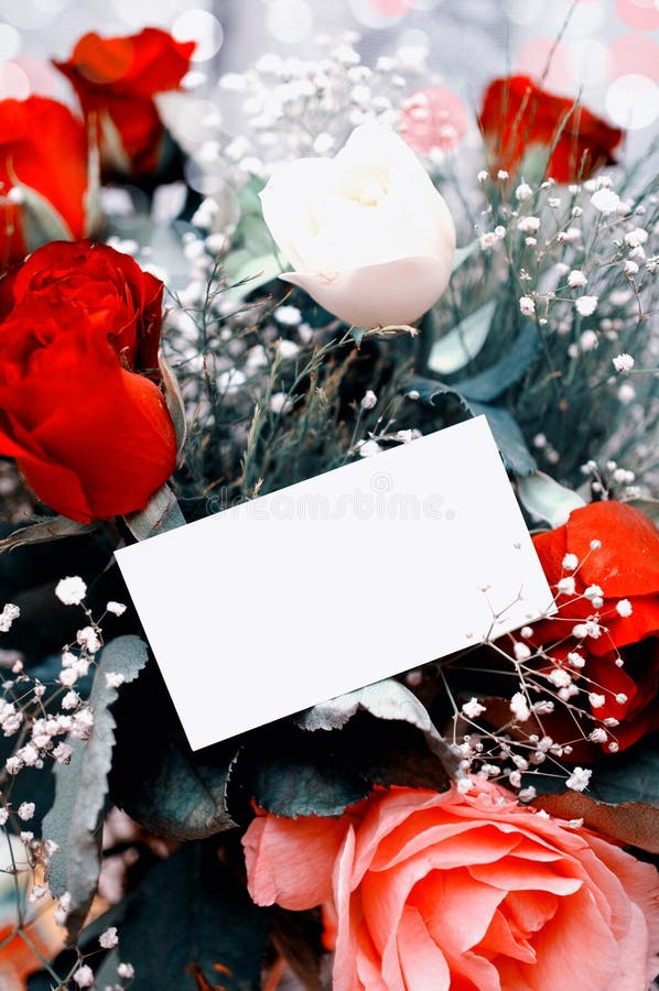 Vintage Roses with Blank Card Stock Photo - Image of space, flowers ...