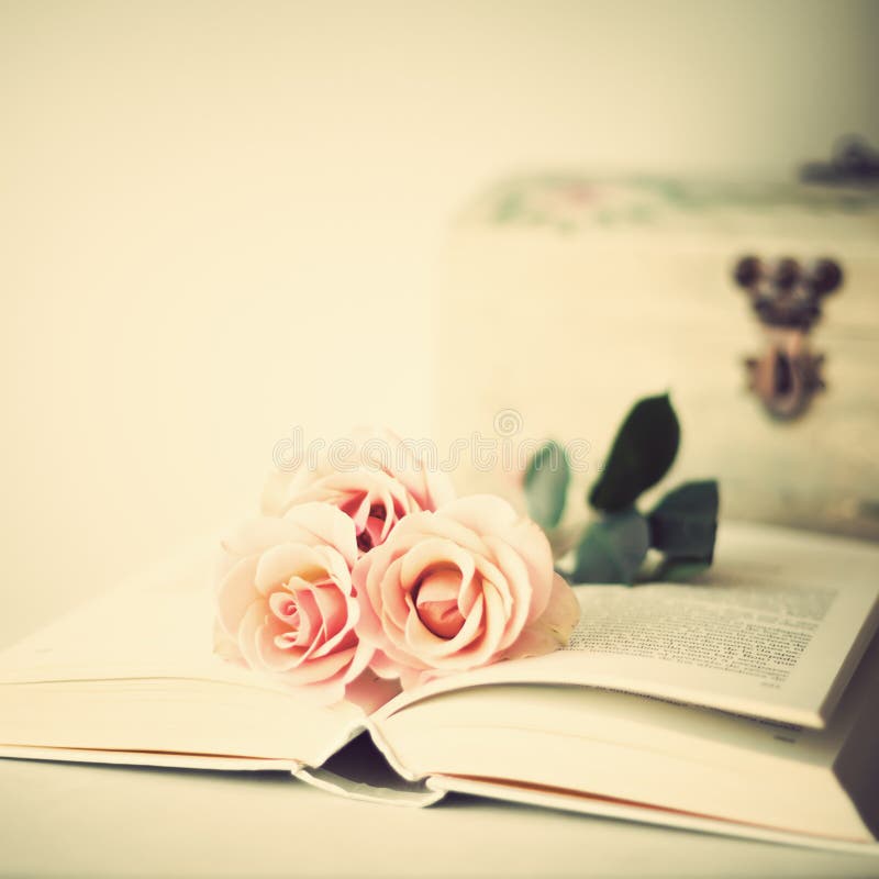 Vintage roses and book stock image. Image of dance, mother - 45986327