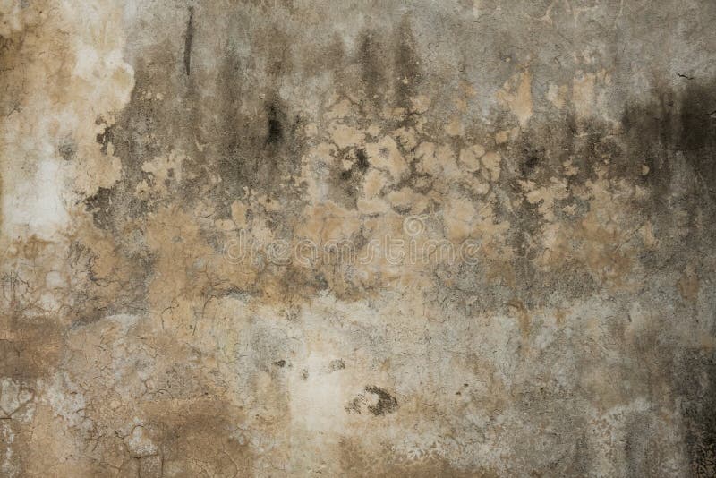 Texture of old plaster stock photo. Image of background - 143627994