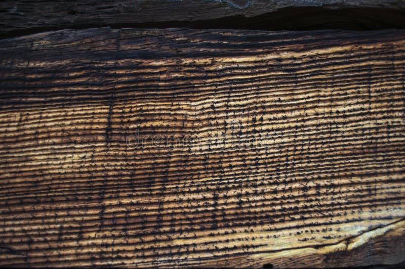 Vintage rough wood surface stock photo. Image of empty - 171006530