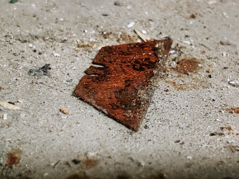 Rusted Saw Blade On Weathered Wood Wall Stock Photo - Image of handle ...