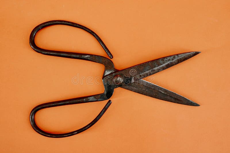 Vintage Scissors stock image. Image of white, metal - 113695809