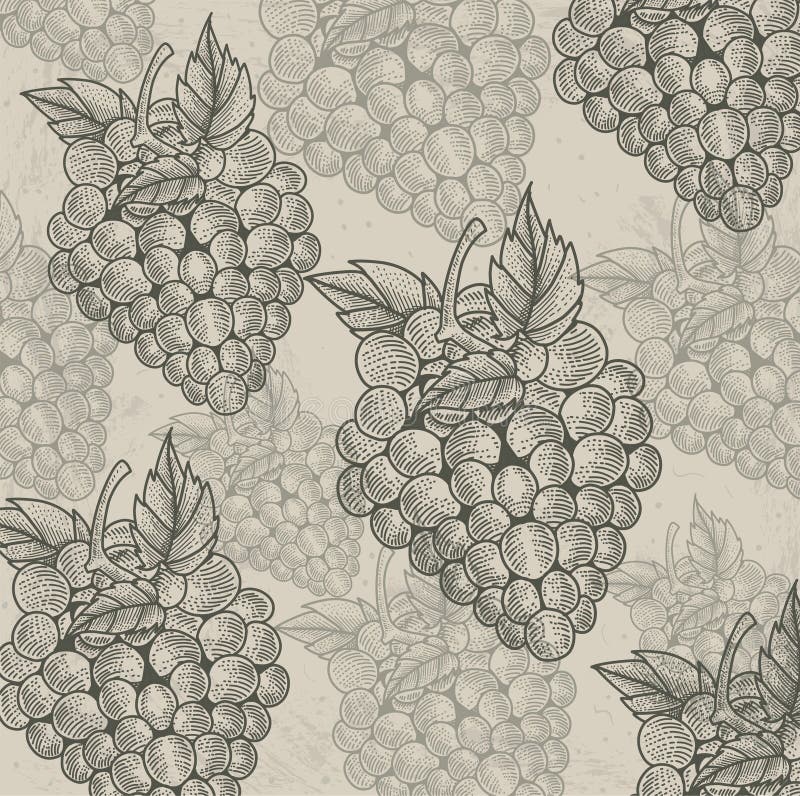 Vintage Seamless Background with Grape Fruit Stock Vector ...