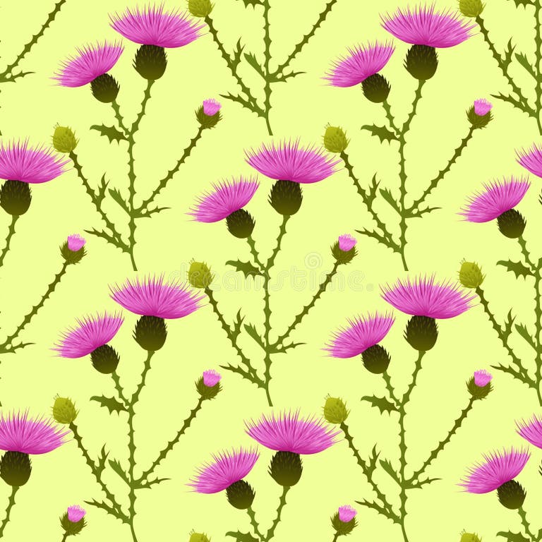 Vintage Seamless Pattern with Thistle Flowers Stock Vector ...