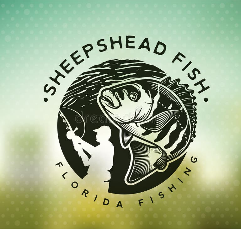 Sheepshead Fish Stock Illustrations – 42 Sheepshead Fish Stock ...