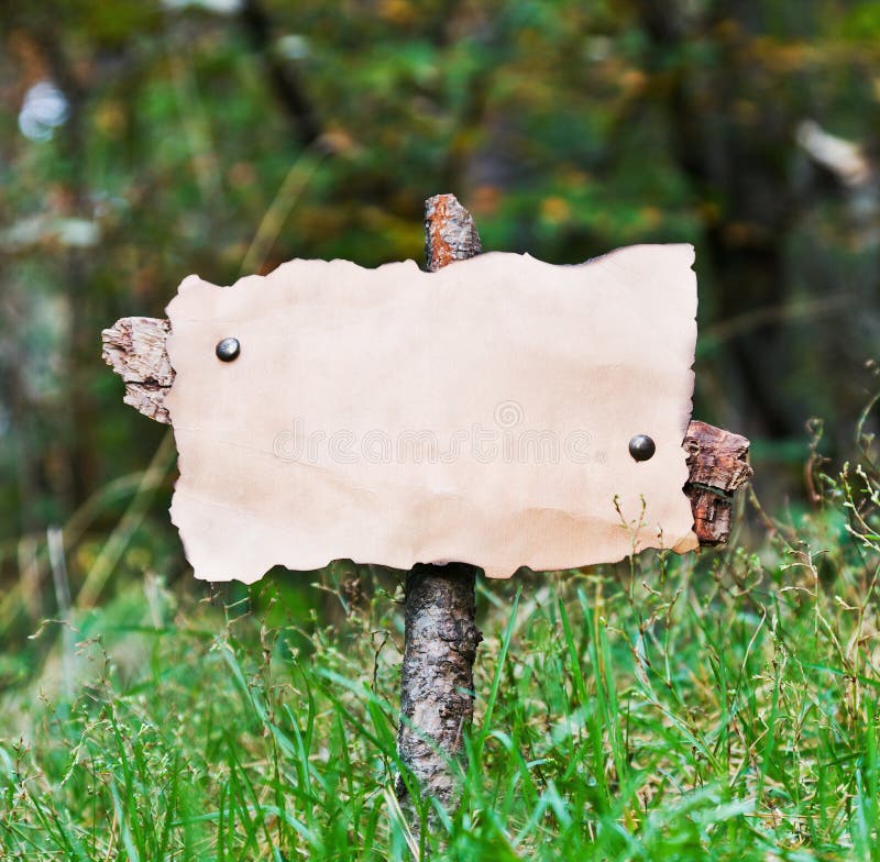 Lost sign stock photo. Image of text, copy, business, tree - 5137786