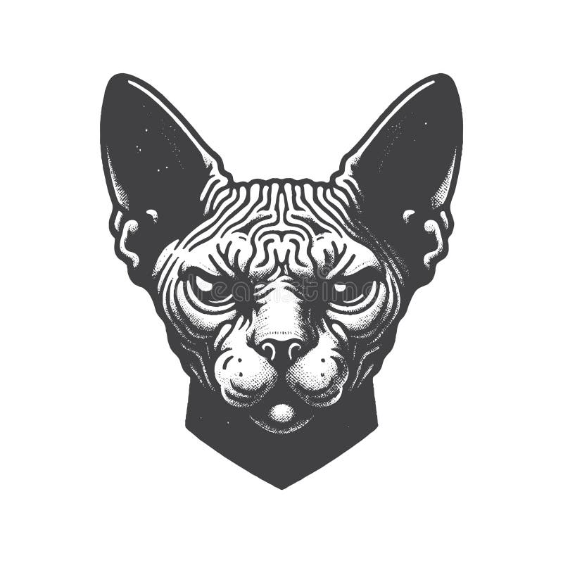 Vintage Sphynx Cat Head with Angry Expression Vector Illustration ...