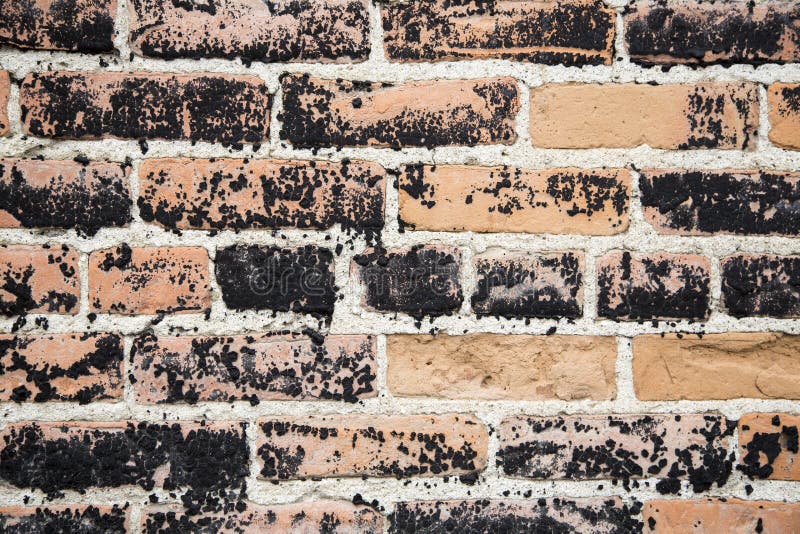 Vintage stained brick wall stock photo. Image of pattern - 60937766