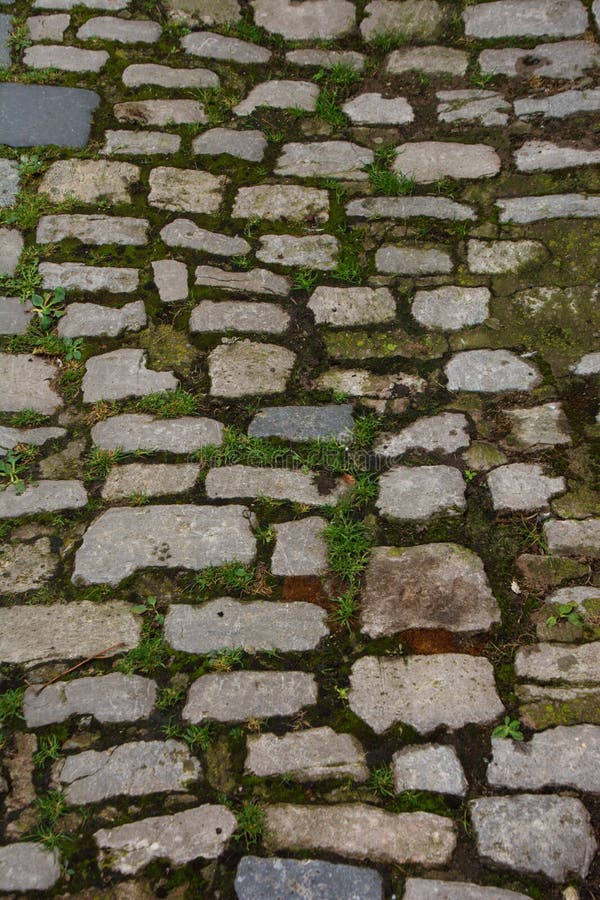 Overhead View of Cobblestone Footpath Texture with Grass Stock Image ...