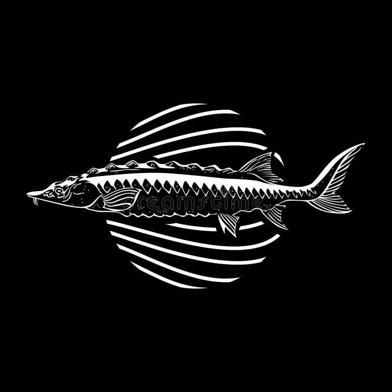 Vintage Sturgeon Fish Vector Logo Illustration Stock Illustration ...