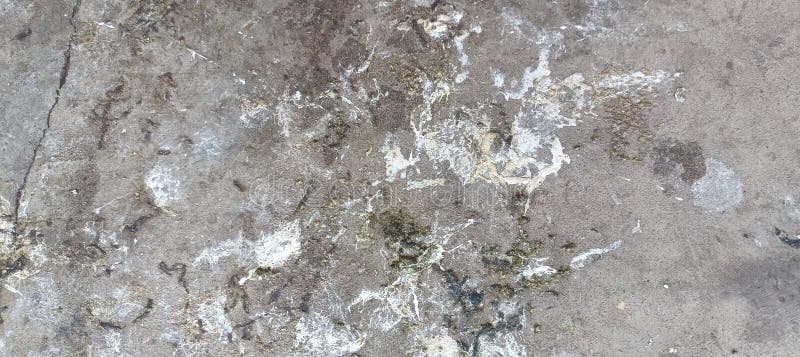 Vintage Style Bird Poop Background on Cement Background. Stock Photo ...