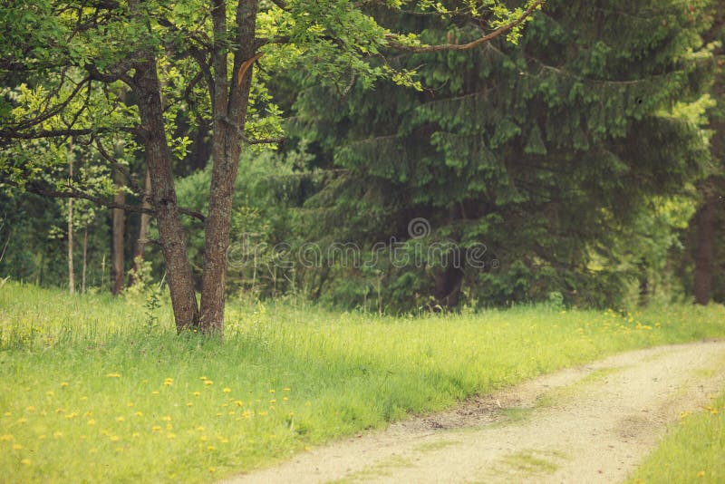 Vintage Style Landscape in Park Stock Photo - Image of pavement ...