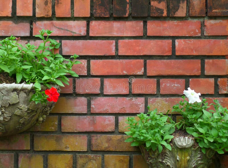 Vintage Style Planters with Flowers and Bright Green Leaves on ...