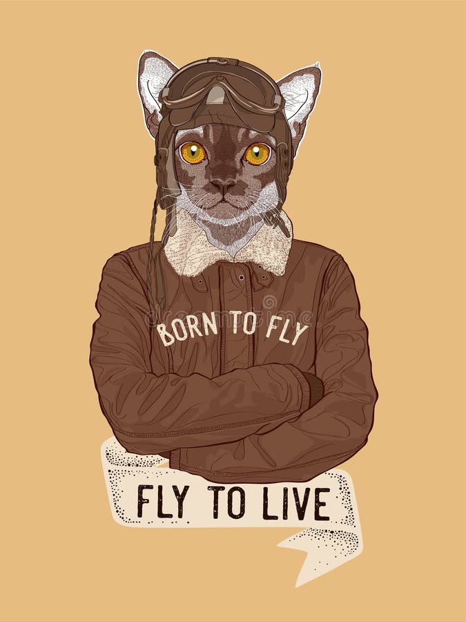 Styled Cat Pilot Stock Illustrations – 10 Styled Cat Pilot Stock ...