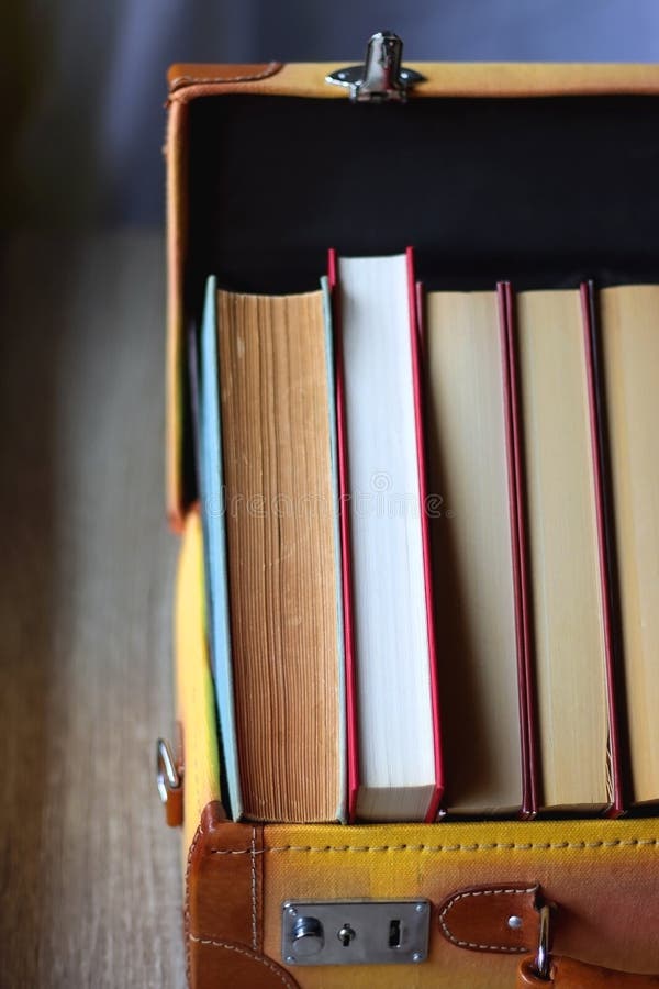 Suitcase and Books stock photo. Image of heap, paper - 275522474