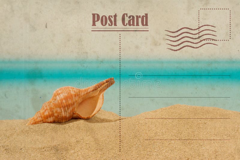 Vintage Summer Postcard. Seashell on the Sand Stock Photo - Image of ...