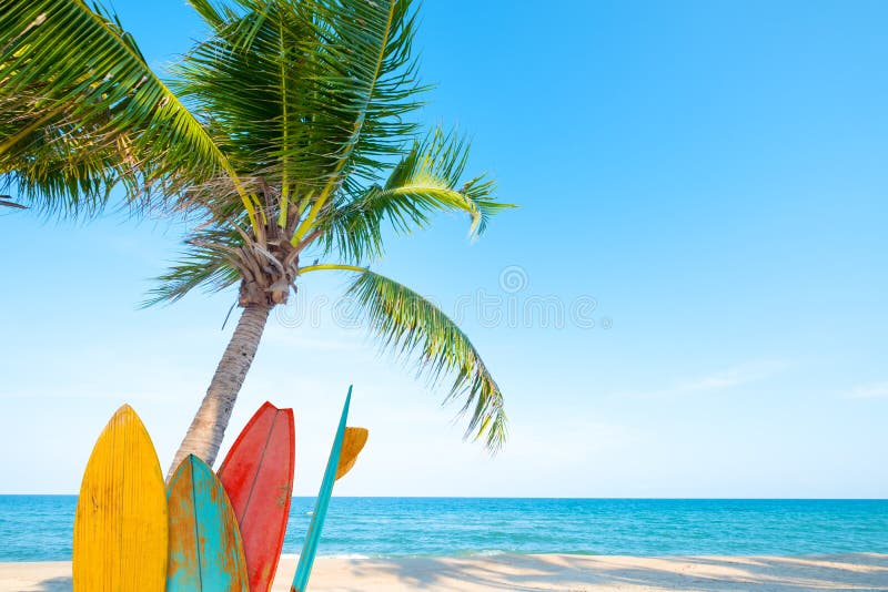 Vintage Surf Board with Palm Tree on Tropical Beach Stock Photo - Image ...
