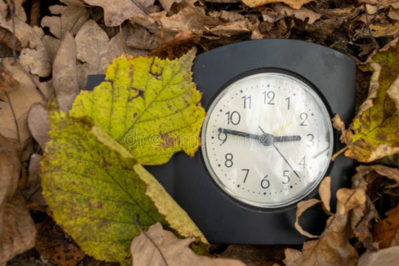 Vintage Table Clock among Fallen Autumn Leaves Stock Image - Image of ...