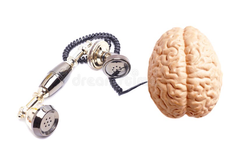 Vintage Anatomical Illustration of Human Circulatory System Stock Photo ...