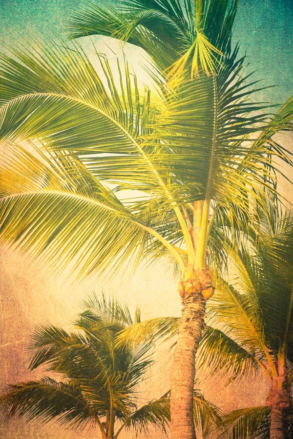 Vintage Palm Tree Pattern