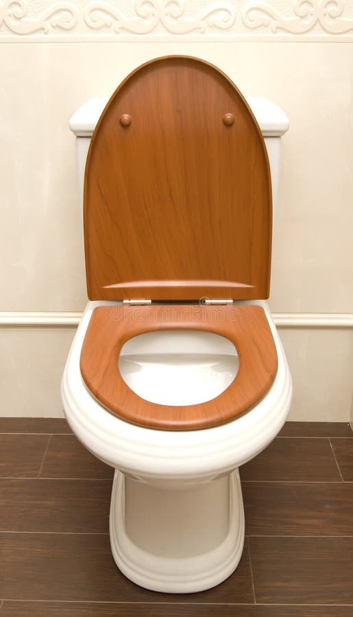 Vintage toilet stock photo. Image of cover, toilet, seat - 4879924