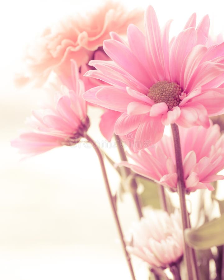 130+ Tone flowers Free Stock Photos - StockFreeImages