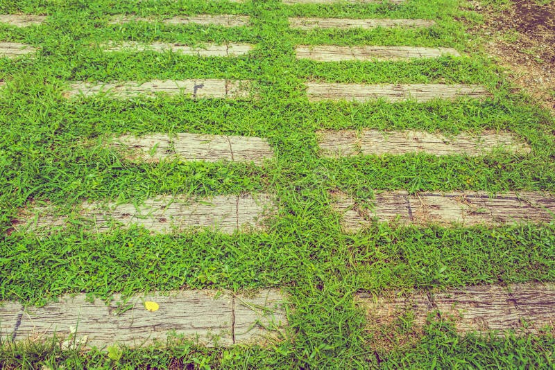 Vintage Tone Image of Grass Field . Stock Image - Image of colorful ...