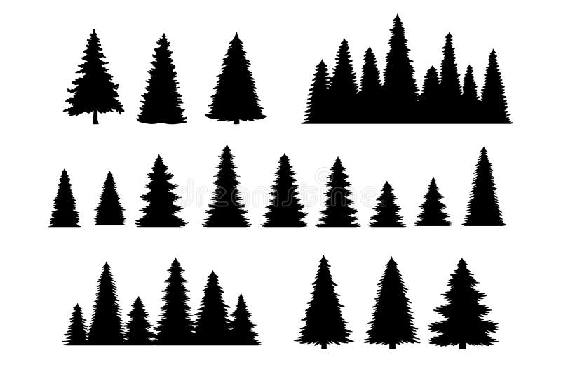 Vintage Trees, Forest Silhouettes Set. Outline of a Coniferous Forest ...