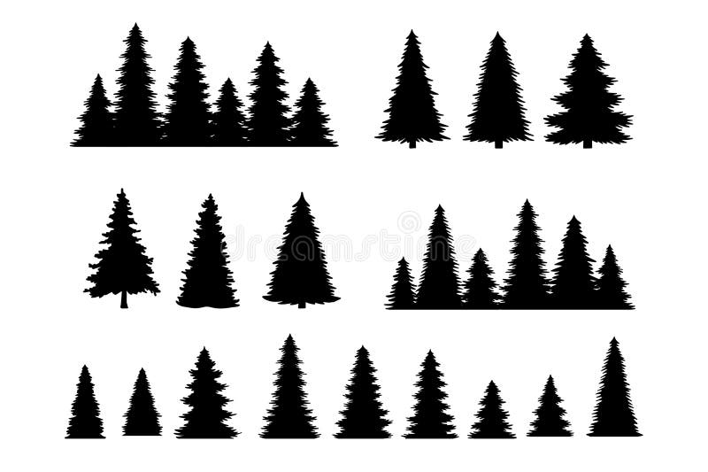 Vintage Trees, Forest Silhouettes Set. Outline of a Coniferous Forest ...