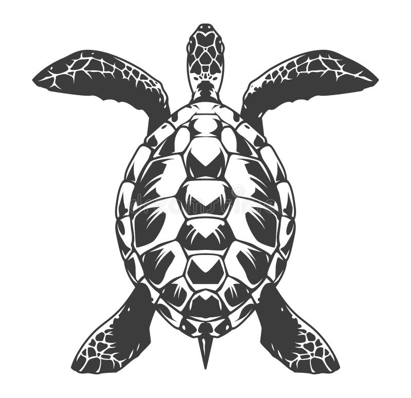 Turtle Top View, Carapace Crawling Sketch Vector Stock Vector ...