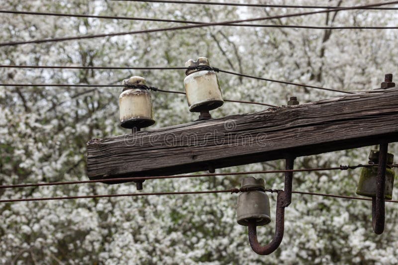 Vintage Utility Pole with Insulators Against a Backdrop of Blooming ...