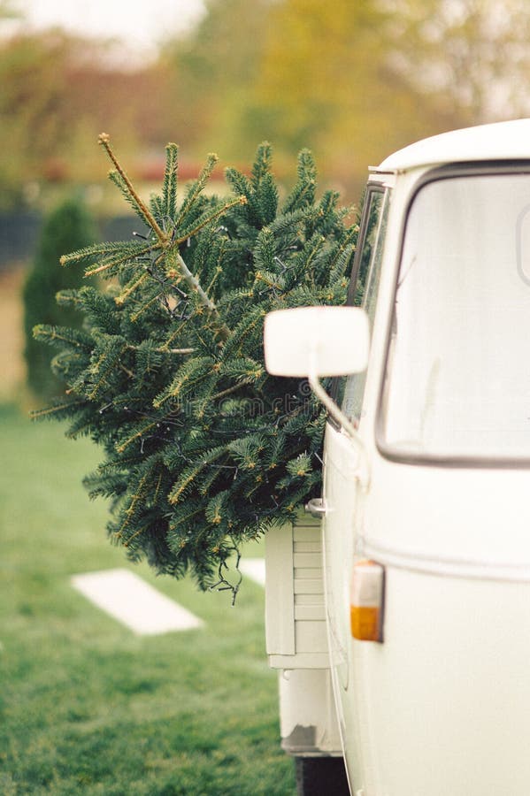Vintage Van Parked in a Rural Landscape, with a Christmas Tree in the ...