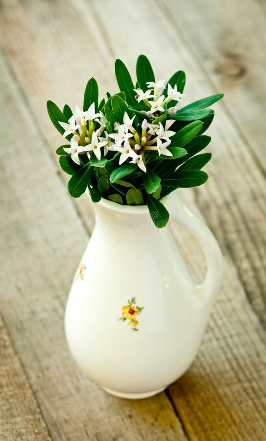 Vintage Vase with White Flowers Stock Photo - Image of fiber, moody ...